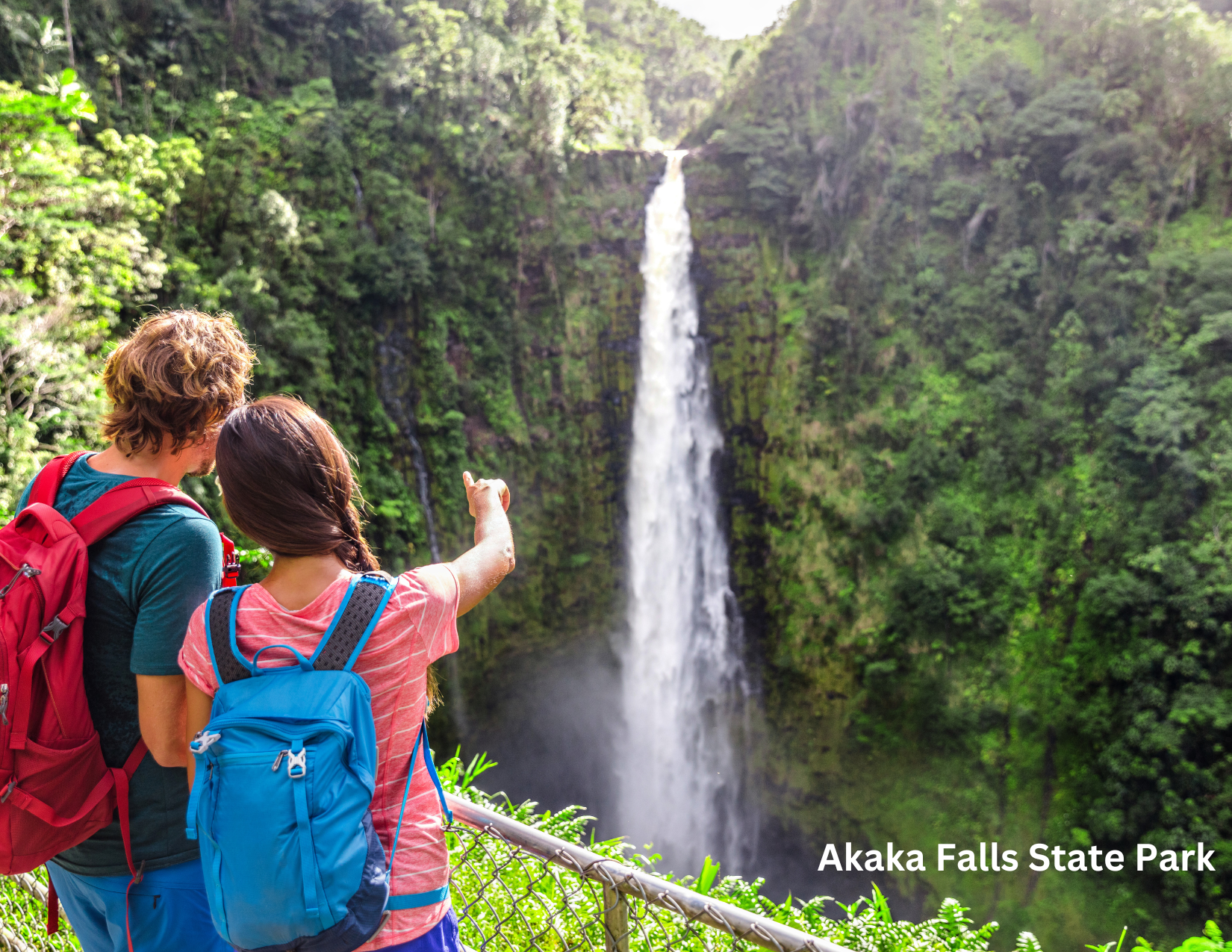Akaka Falls State Park Tourist Guide - Hawaii Zipline Tours