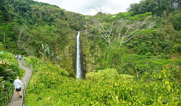 Akaka Falls State Park Tourist Guide - Hawaii Zipline Tours